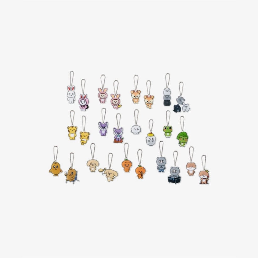 SEVENTEEN - MINITEEN OFFICIAL MERCH LUCKY DRAW (ACRYLIC KEYRING ...